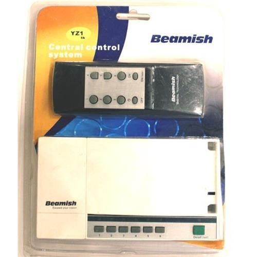 Central Control System With Remote — Light Market