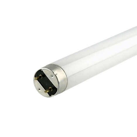T8 2ft 18w Fluorescent Insect Killer Tube Bing Light — Light Market